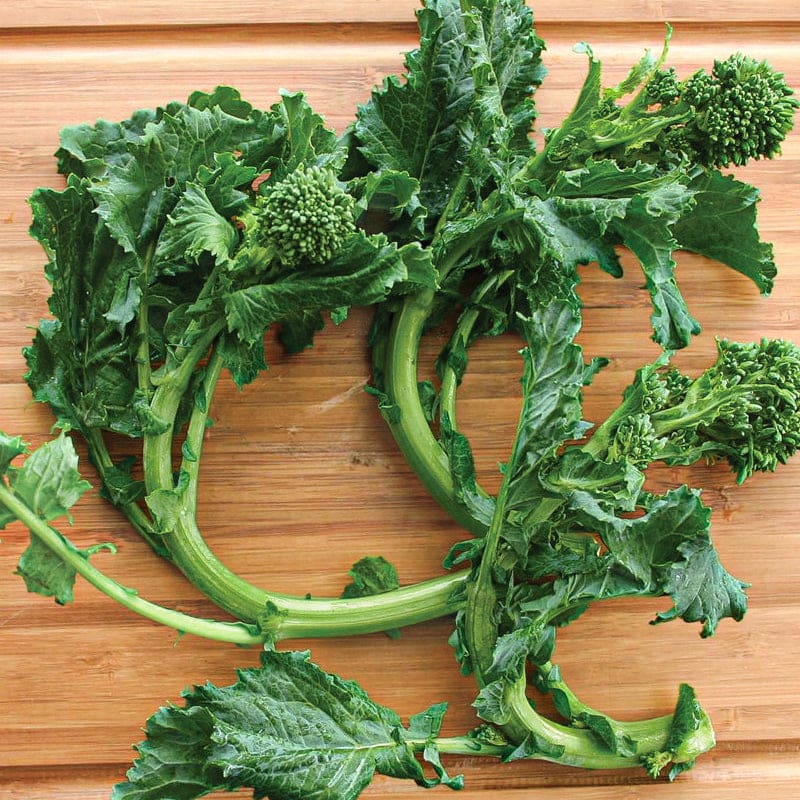 Spring Raab Broccoli (42 Days) – Pinetree Garden Seeds