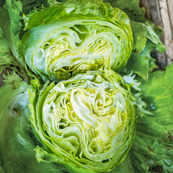 Summertime Lettuce (68 Days) – Pinetree Garden Seeds