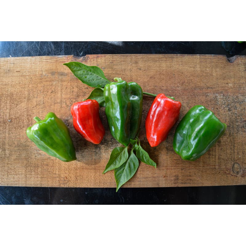 Takii's New Ace Pepper (F1 Hybrid 62 Days) – Pinetree Garden Seeds