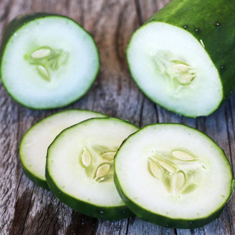 The General Cucumber (F1 Hybrid 66 Days) – Pinetree Garden Seeds