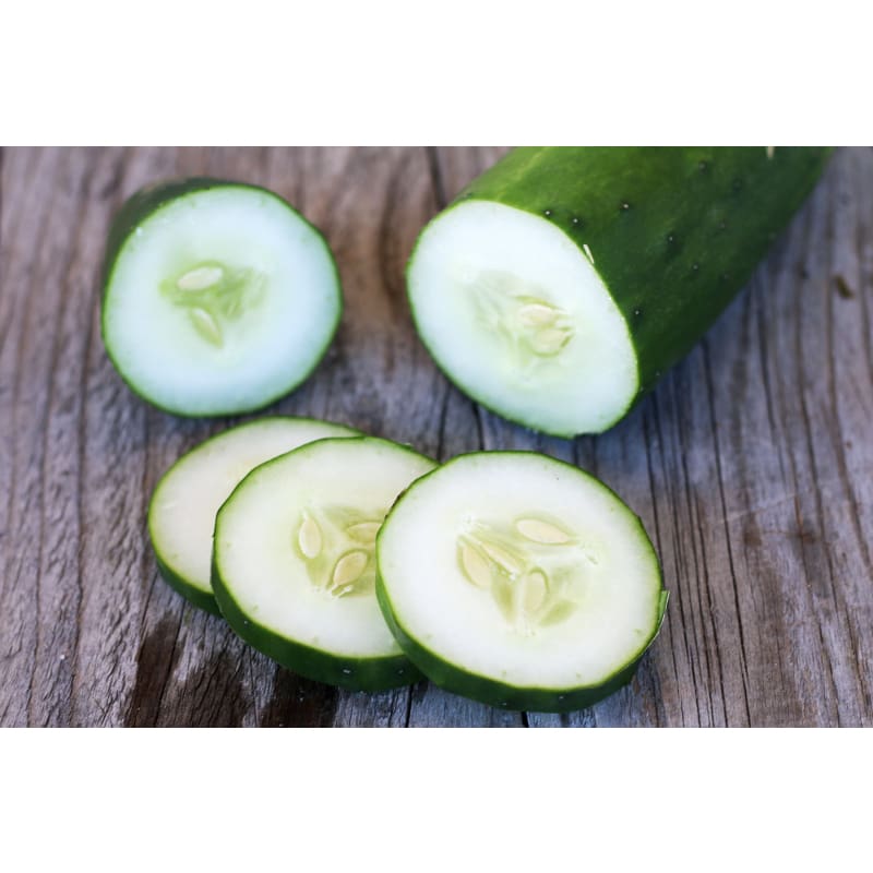 The General Cucumber (F1 Hybrid 66 Days) – Pinetree Garden Seeds