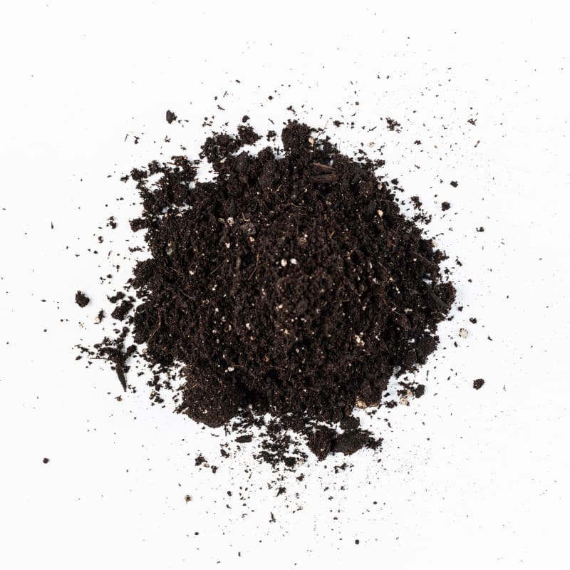 Vermont Compost Company Fort Light Compost-Based Potting Soil (6 QT ...