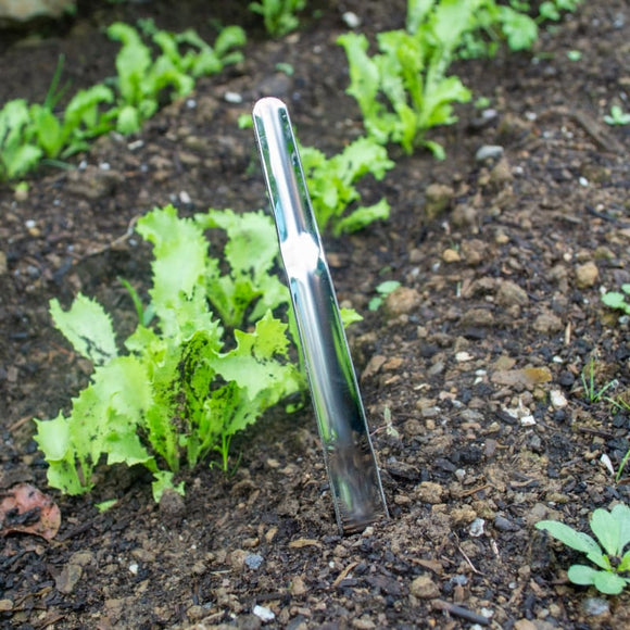 Widger – Pinetree Garden Seeds