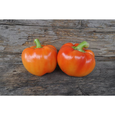 Alma Paprika Pepper (70 Days) – Pinetree Garden Seeds