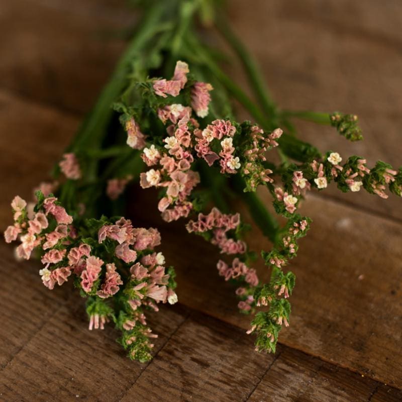 Heavenly Blue Statice