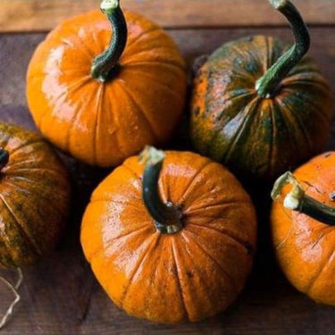 Baby Bear Pumpkin (105 Days) – Pinetree Garden Seeds