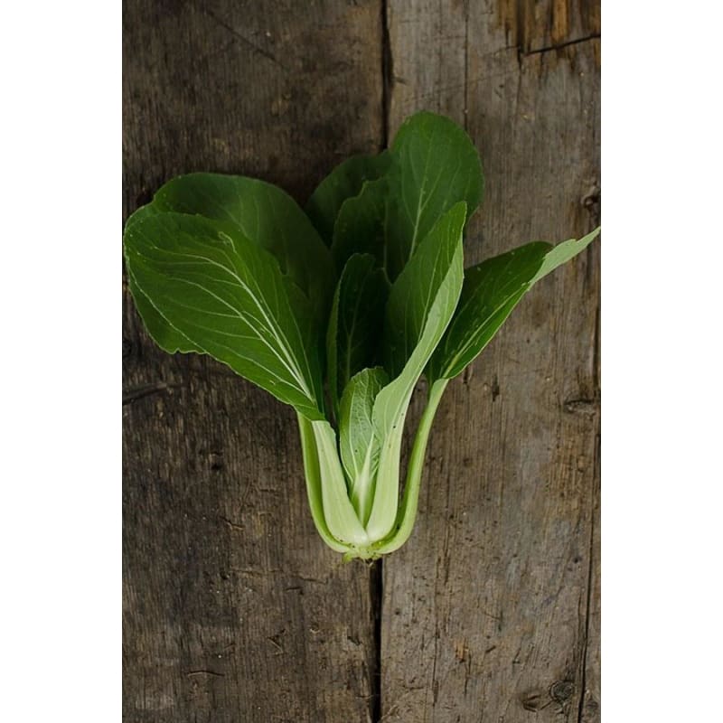 Baby Pak Choi (50 Days) – Pinetree Garden Seeds