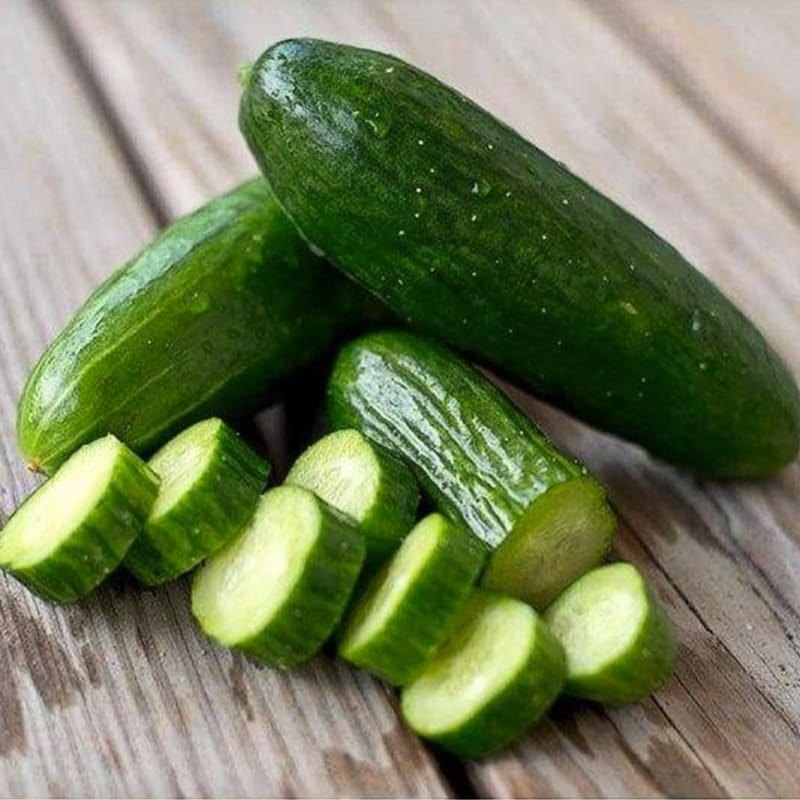 Beit Alpha Cucumber (F1 Hybrid 52 Days) – Pinetree Garden Seeds