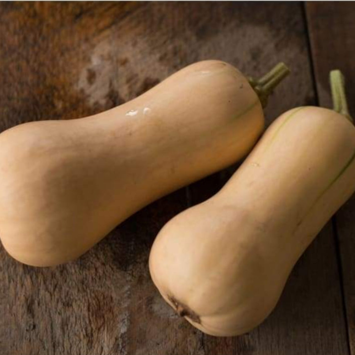 Butterscotch Winter Squash (F1 Hybrid 100 Days) – Pinetree Garden Seeds
