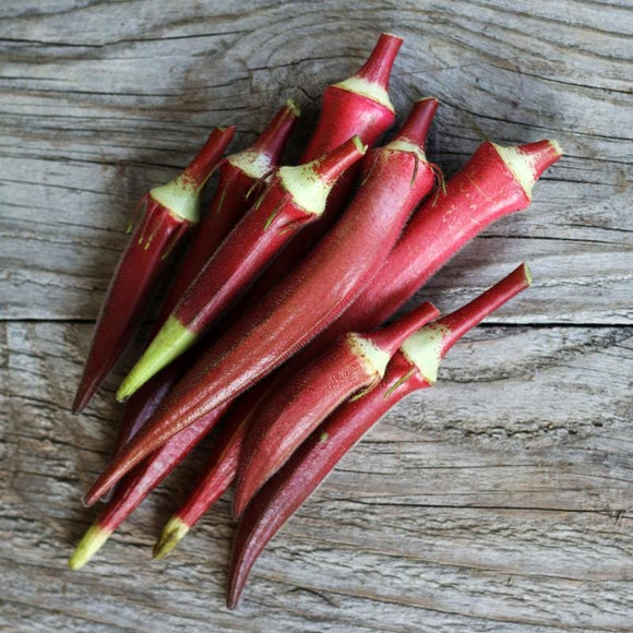 Candlefire Okra (F1 Hybrid 60 Days) – Pinetree Garden Seeds