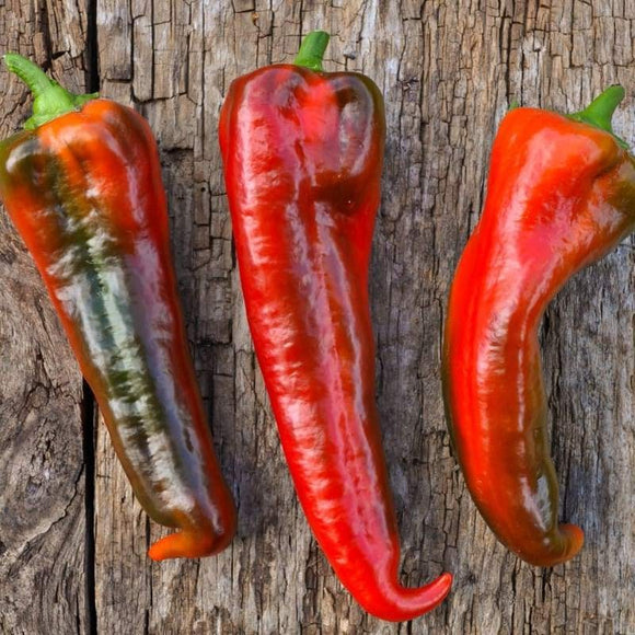 Carmen Pepper (Organic F1 Hybrid 60-80 Days ) – Pinetree Garden Seeds