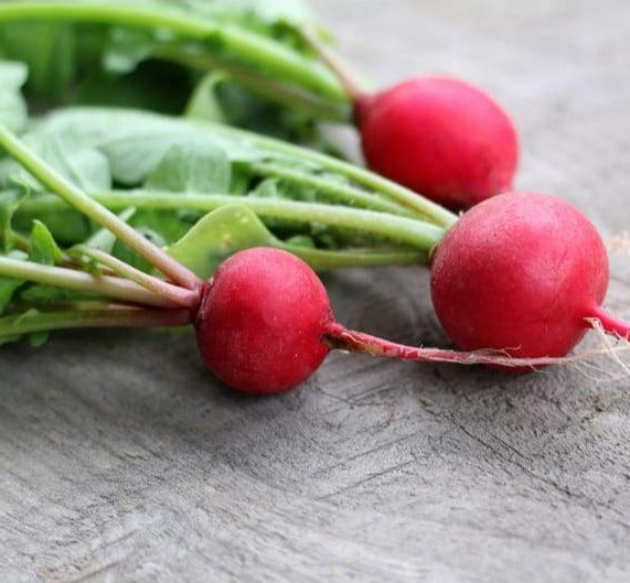 Cherry Belle Radish (Heirloom 21 Days)