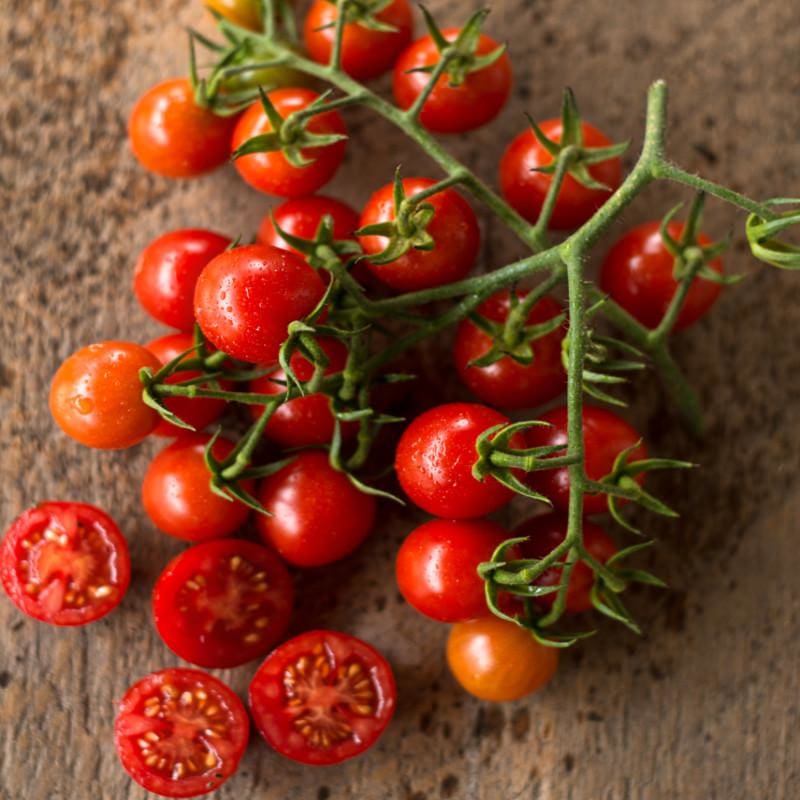 Cherry Bomb Tomato (Organic F1 Hybrid 64 Days )