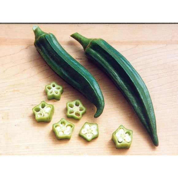 Clemson Spineless Okra (64 Days) – Pinetree Garden Seeds