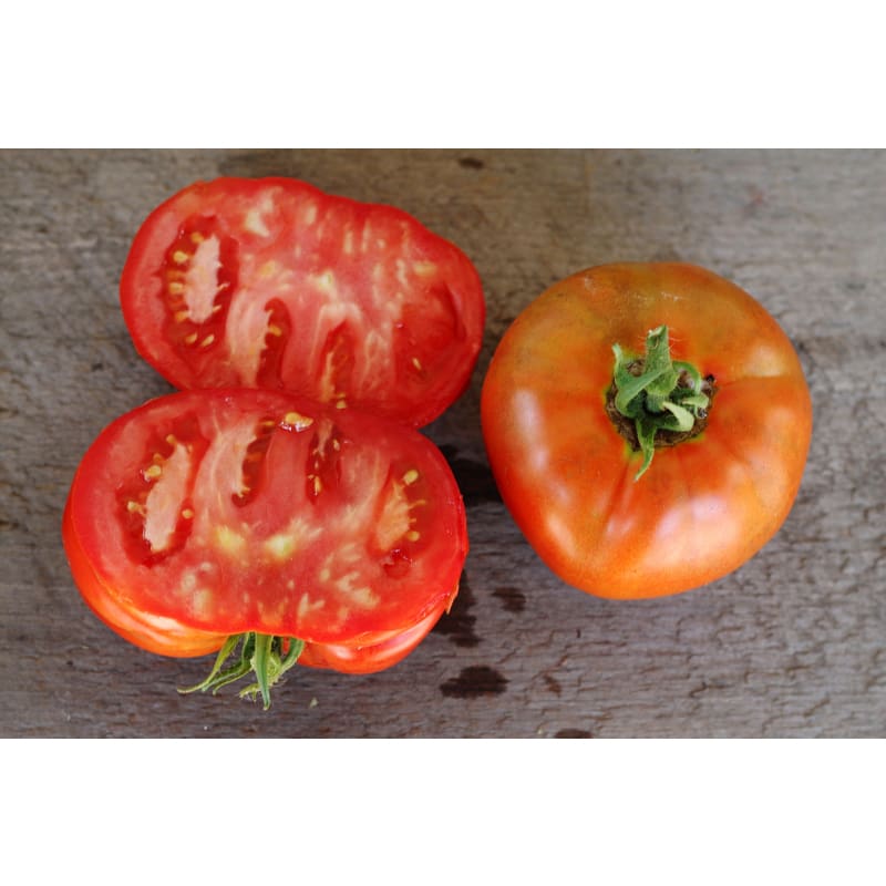 Country Taste Tomato (F1 Hybrid 70 Days) – Pinetree Garden Seeds