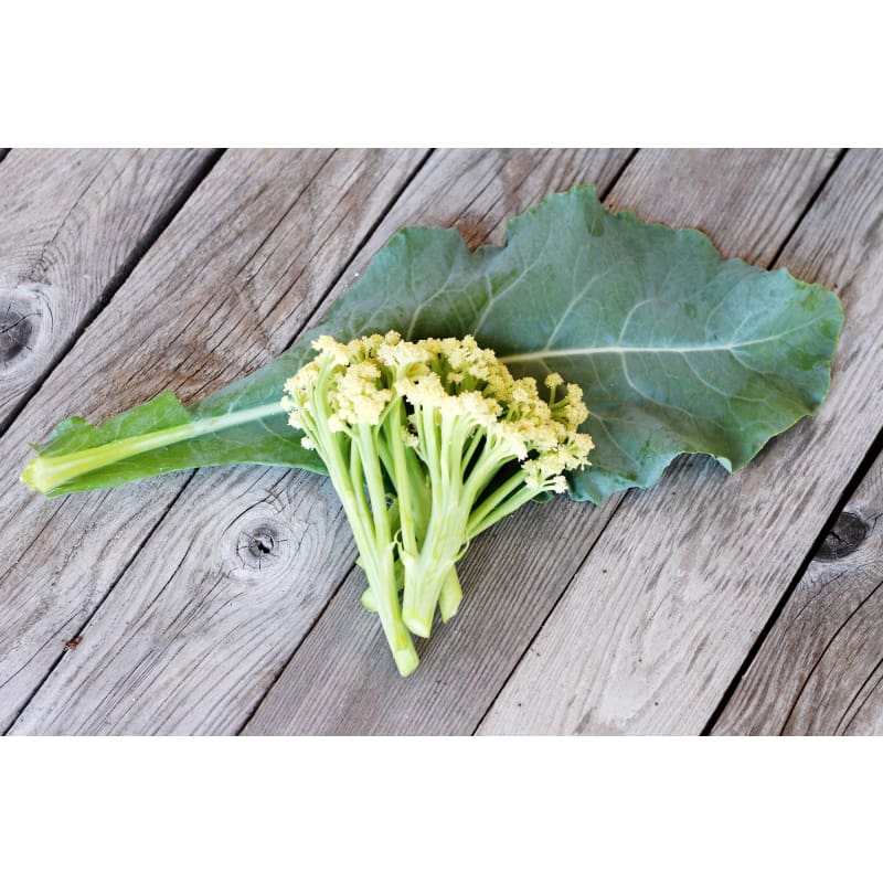 Fioretto Cauliflower (F1) - Sprouting Cauliflower Seed – Pinetree ...