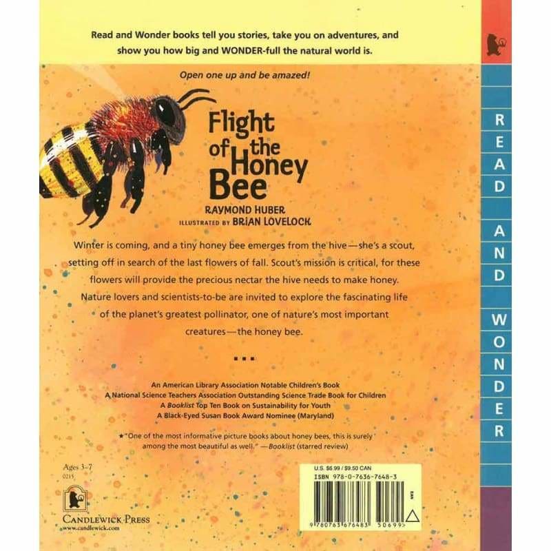 Flight of the Honey Bee – Pinetree Garden Seeds