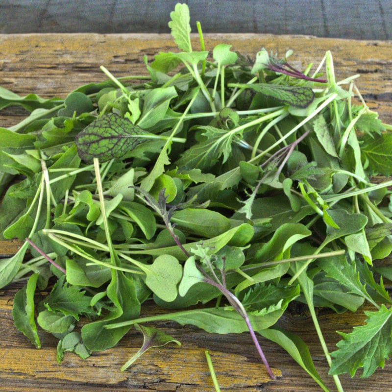 Garden Mesclun Blend (30 days) – Pinetree Garden Seeds