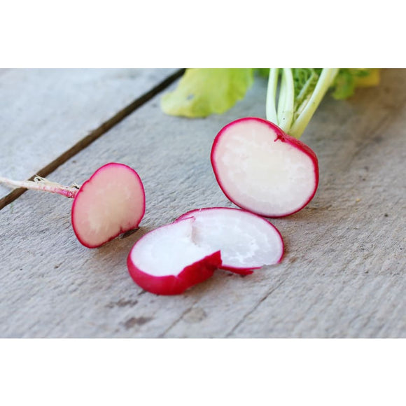 German Giant Radish (Heirloom, 37 Days) – Pinetree Garden Seeds