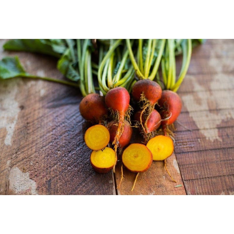 Golden Beet (Heirloom, 55 Days) – Pinetree Garden Seeds