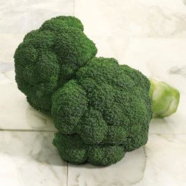 Broccoli Seeds – Pinetree Garden Seeds