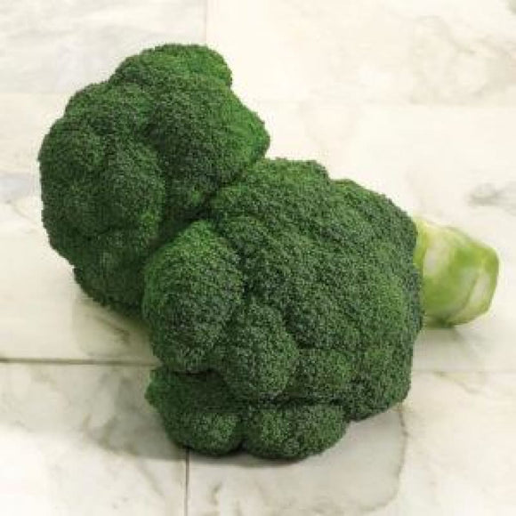 Imperial Broccoli (F1 Hybrid 70 Days) – Pinetree Garden Seeds