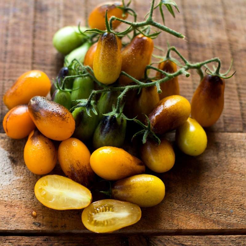 Indigo Pear Drops Tomato (Organic 65 Days) – Pinetree Garden Seeds