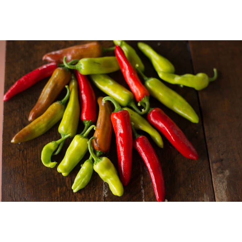 Italian Pepperoncini Pepper (75 Days) – Pinetree Garden Seeds