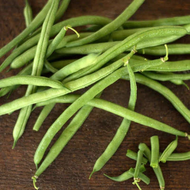 Jade Bush Bean (57 Days) – Pinetree Garden Seeds