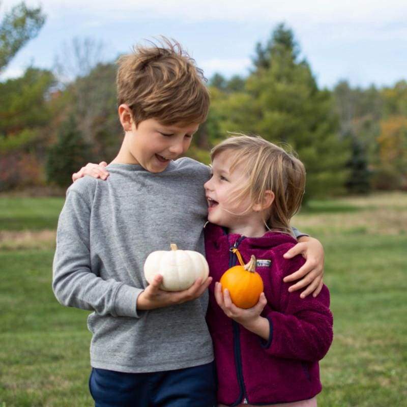 Busy Buzzy Pollinator Seed Collection