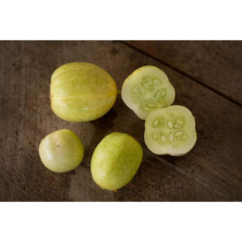 Lemon Cucumber (Heirloom, 65 Days) – Pinetree Garden Seeds