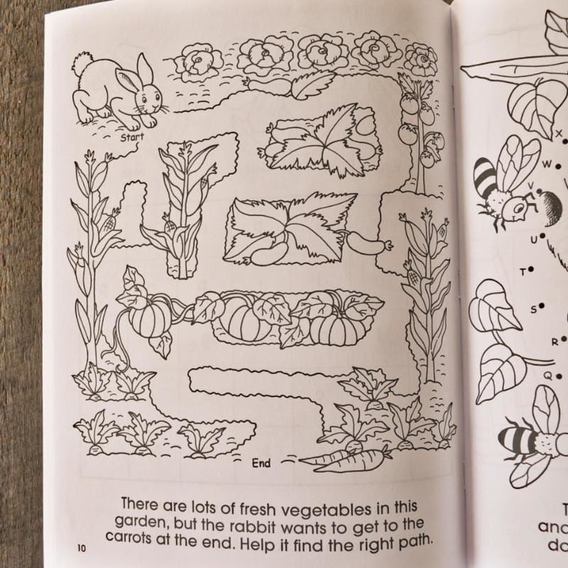 Little Gardener's Activity Book