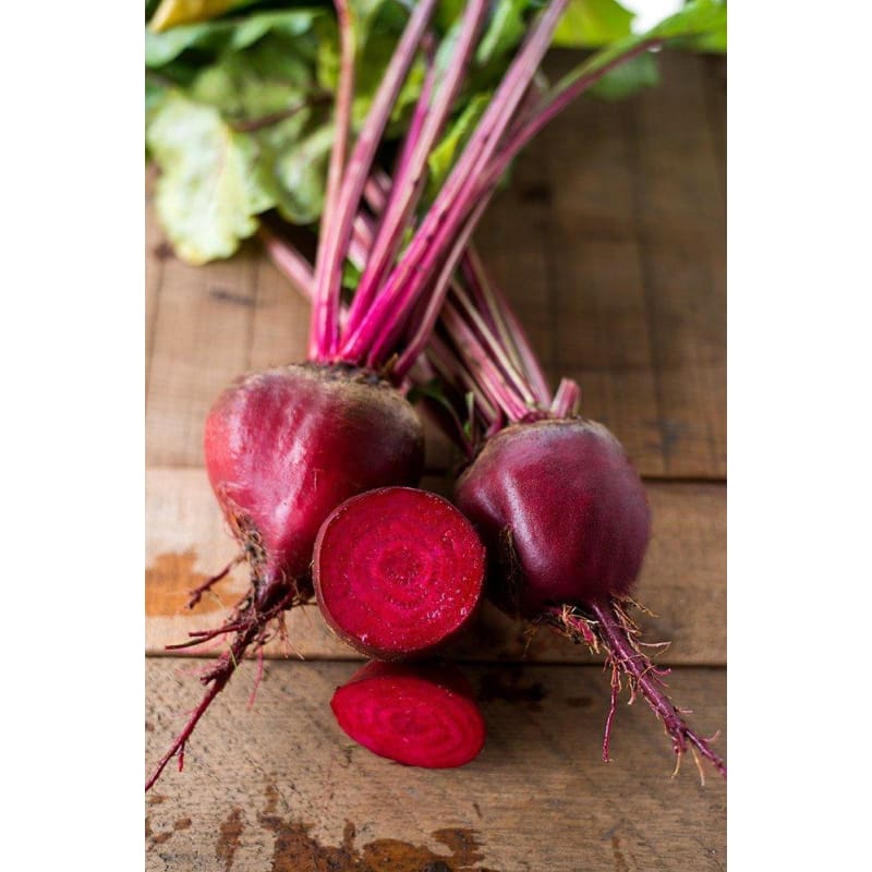 Lutz Winter Keeper Beet (Heirloom, 80 Days) – Pinetree Garden Seeds
