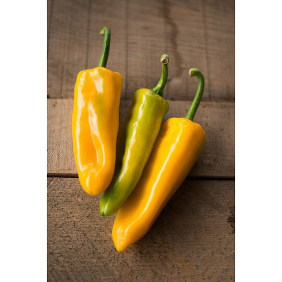 Marconi Golden Pepper (80-90 Days) – Pinetree Garden Seeds