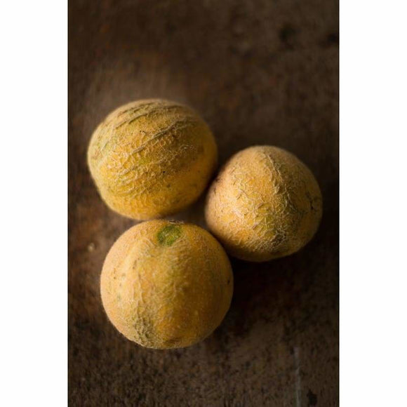 Minnesota Midget Melon (60 Days) – Pinetree Garden Seeds