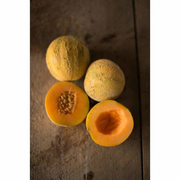 Minnesota Midget Melon (60 Days) – Pinetree Garden Seeds