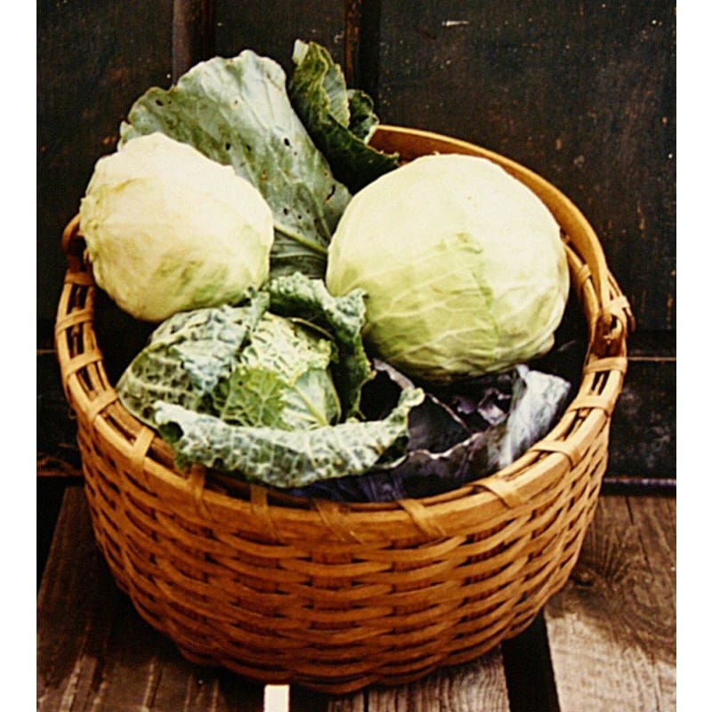 Pinetree Cabbage Mix – Pinetree Garden Seeds