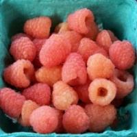 Raspberry 'Double Gold' – Pinetree Garden Seeds