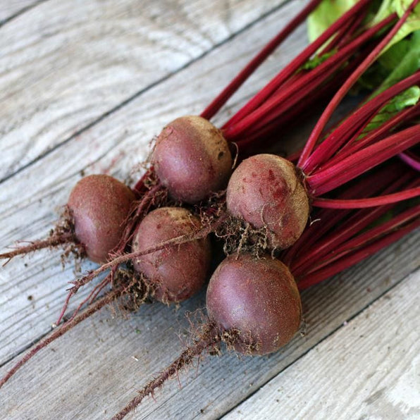 Beet Seeds For Sale - Buy Beet Seeds Online – Page – Pinetree Garden Seeds