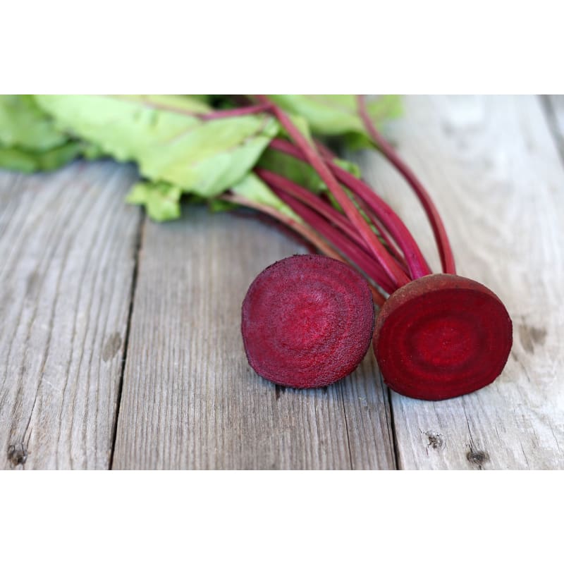 Red Cloud Beet (F1 Hybrid 50 Days) – Pinetree Garden Seeds