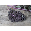 Redbor Kale (F1 Hybrid 55 Days) Brassica oleracea