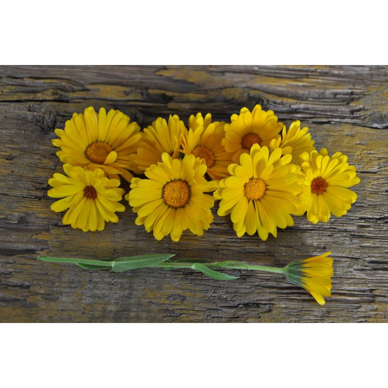 Resina Calendula (Organic)