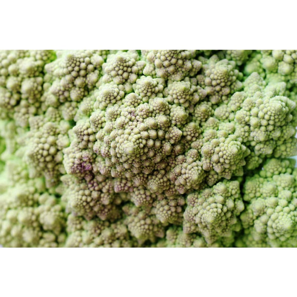 Romanesco Cauliflower ( 80 Days ) – Pinetree Garden Seeds