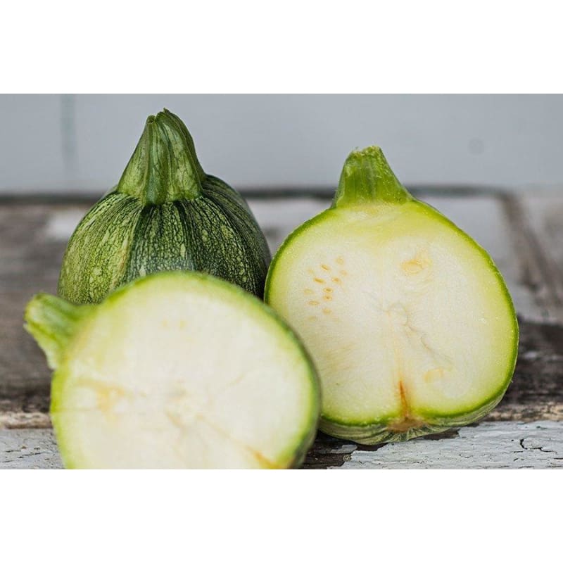 Ronde De Nice Summer Squash (Heirloom 50 Days) – Pinetree Garden Seeds