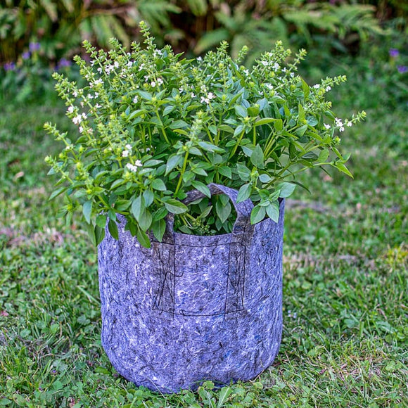 Root Pouch 10 Gallon with Handles – Pinetree Garden Seeds