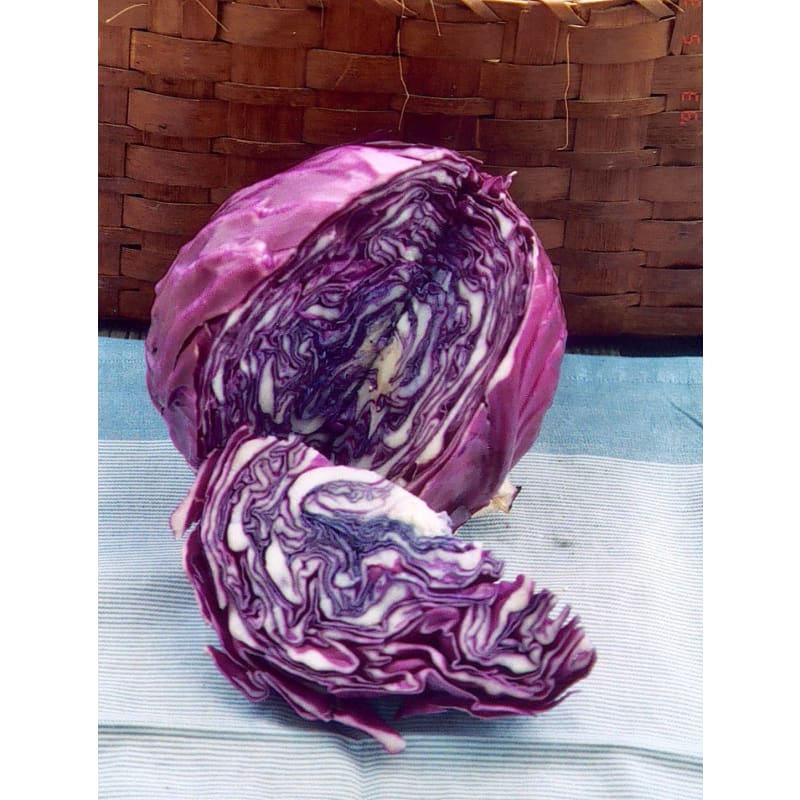 Ruby Perfection Cabbage (F1 Hybrid, 75 Days) – Pinetree Garden Seeds