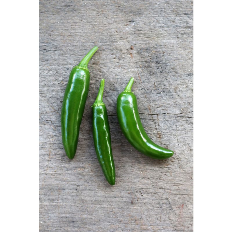 Serrano Hot Pepper (Heirloom 75 Days) – Pinetree Garden Seeds