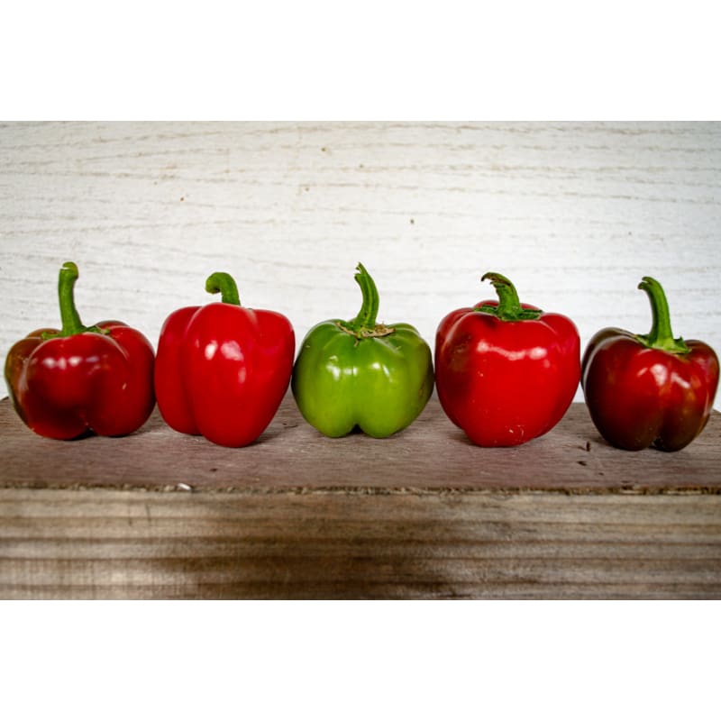 Snackabelle Pepper (F1 Hybrid 60-75 Days)