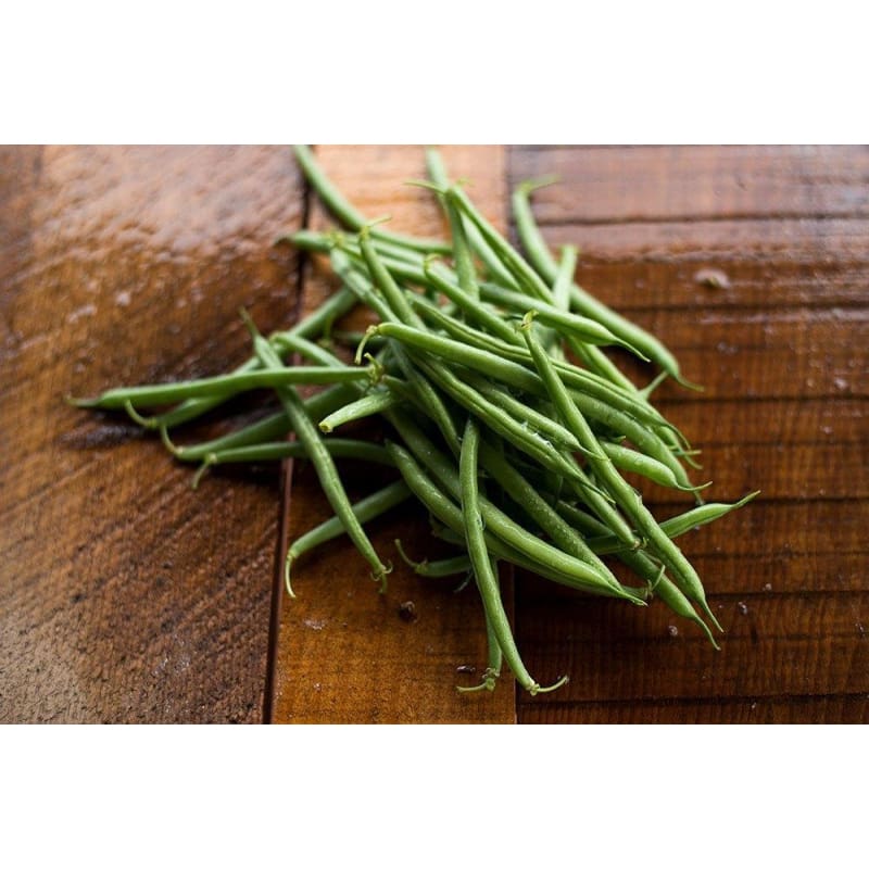Strike Bush Bean (45 Days) – Pinetree Garden Seeds