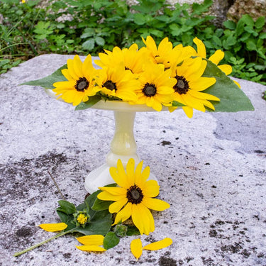 Sunfinity Sunflower – Pinetree Garden Seeds